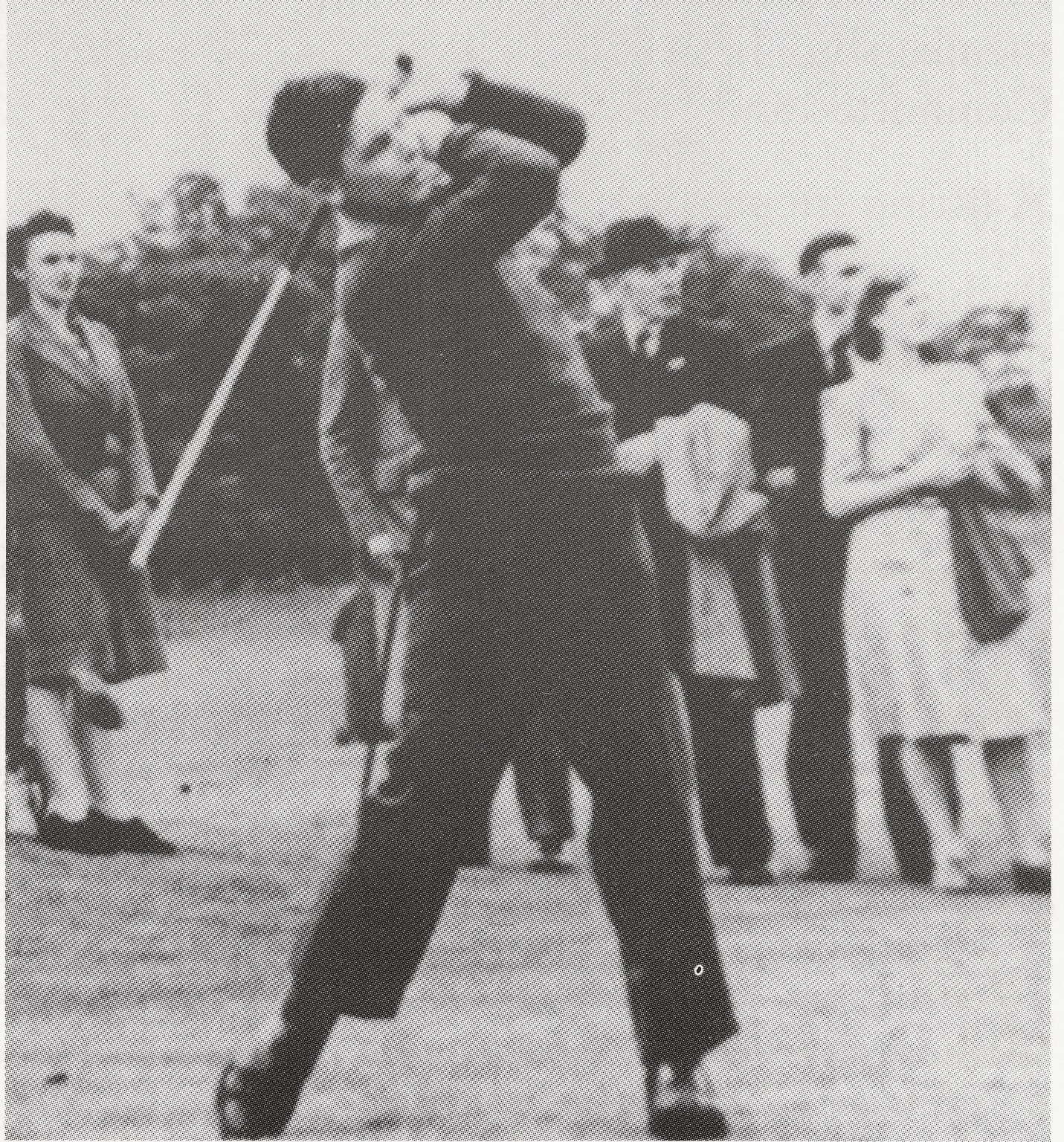 Club History – Doncaster Town Moor Golf Club